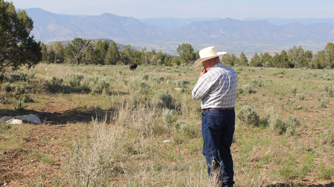 Federal Water Shortage Limits Loom Over Colorado River And All Who ...
