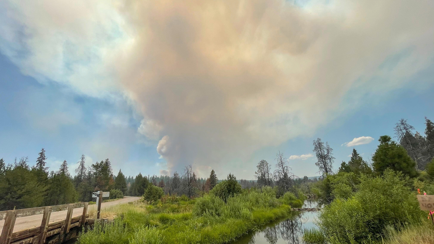 Bootleg Fire, The Biggest In The U.S., Gives Scientists An Unexpected ...
