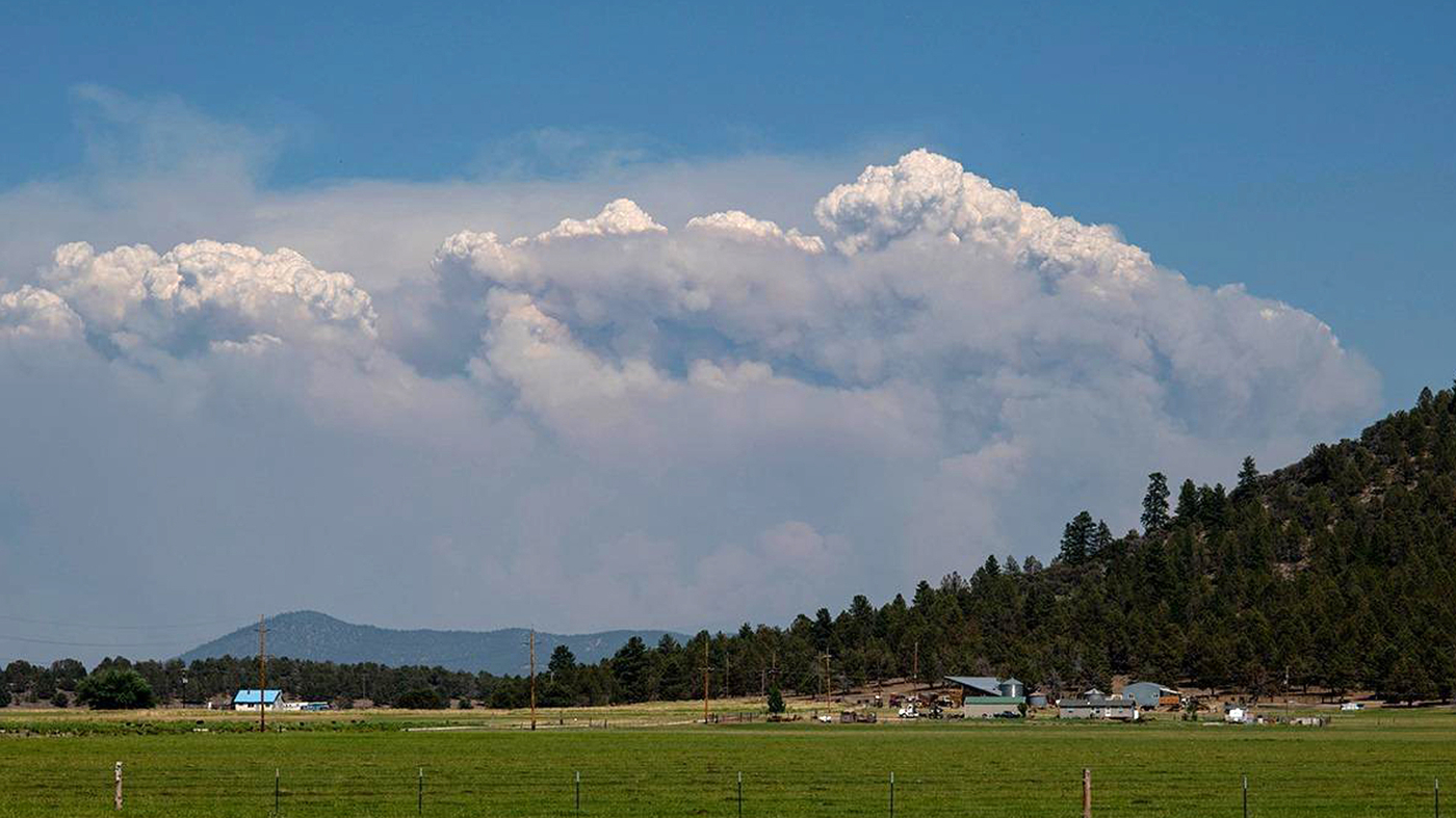 Bootleg Fire, The Biggest In The U.S., Gives Scientists An Unexpected ...
