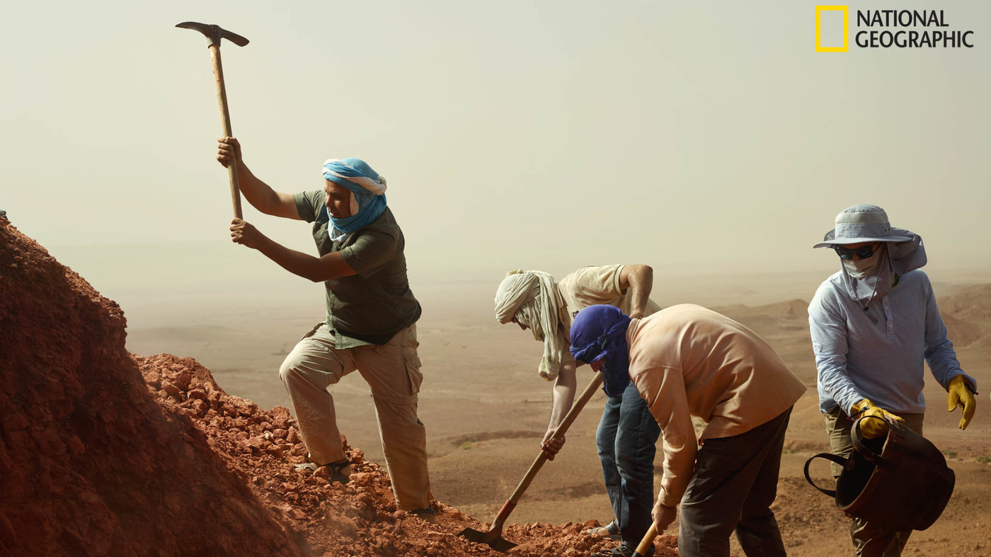 Spinosaurus: The Aquatic Dinosaur : Short Wave : NPR