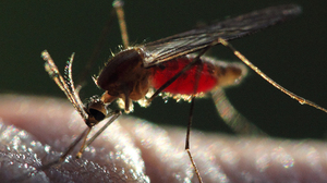 The CRISPR Revolution : NPR