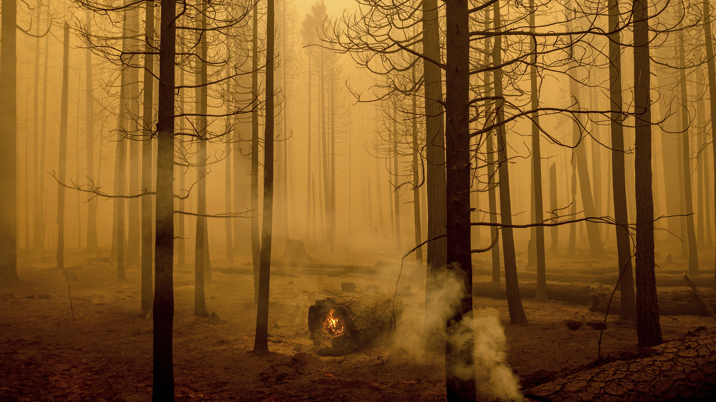 How Wildfires Get Their Names : NPR