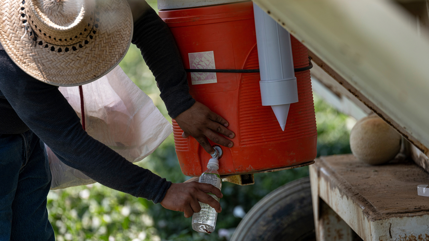 Workers At Greater Risk Of Heat Illness With Climate Change : NPR