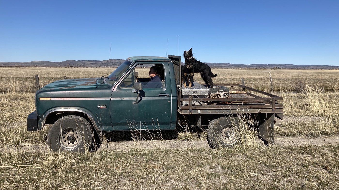 Ranchers Fighting For Water During The West's Drought : The Indicator ...