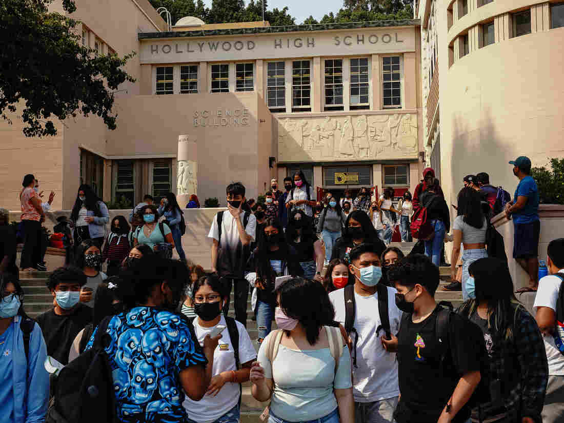 Back To School: Live Updates : NPR