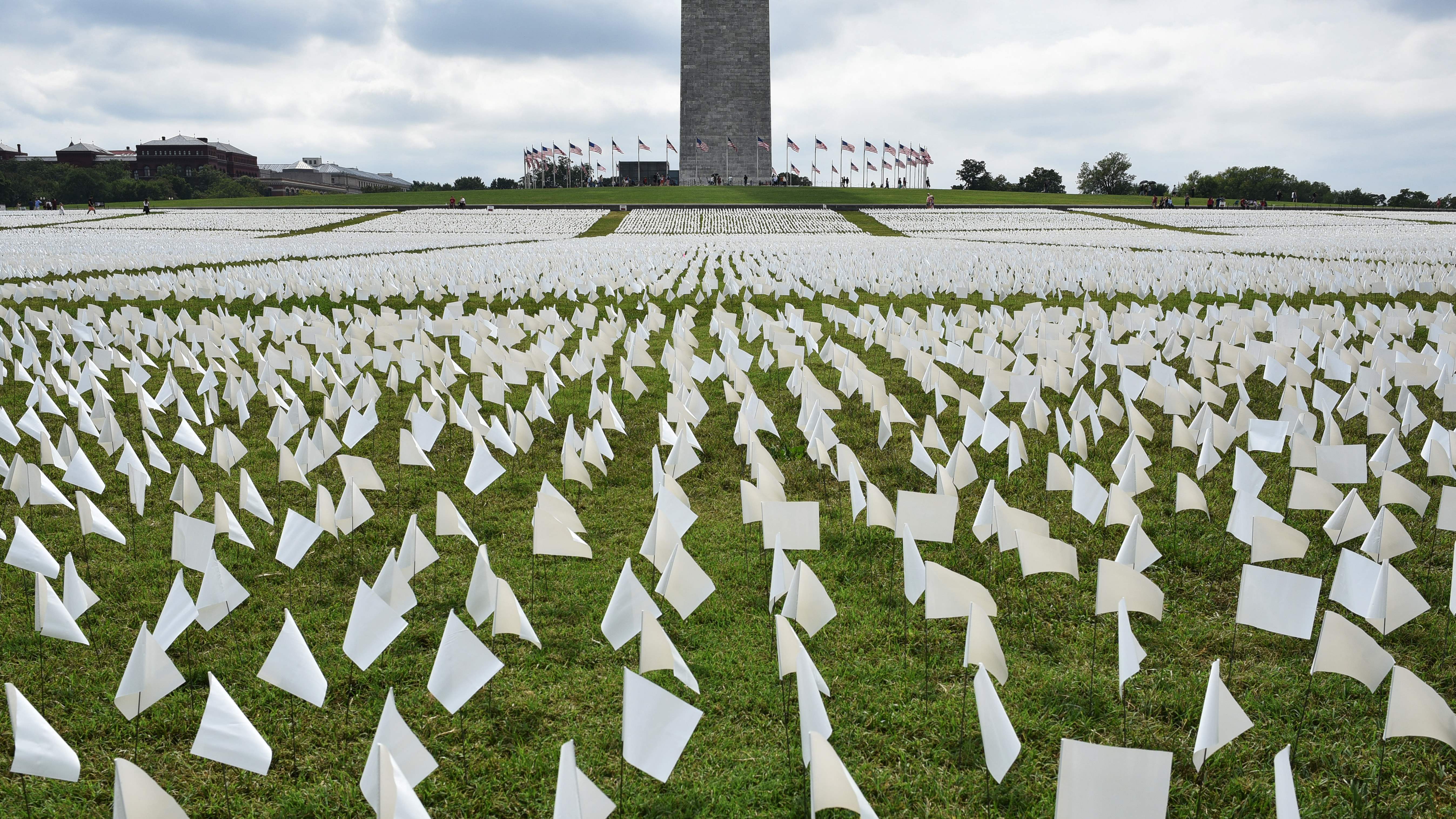 600,000 White Flags On The National Mall Honor Lives Lost To COVID ...