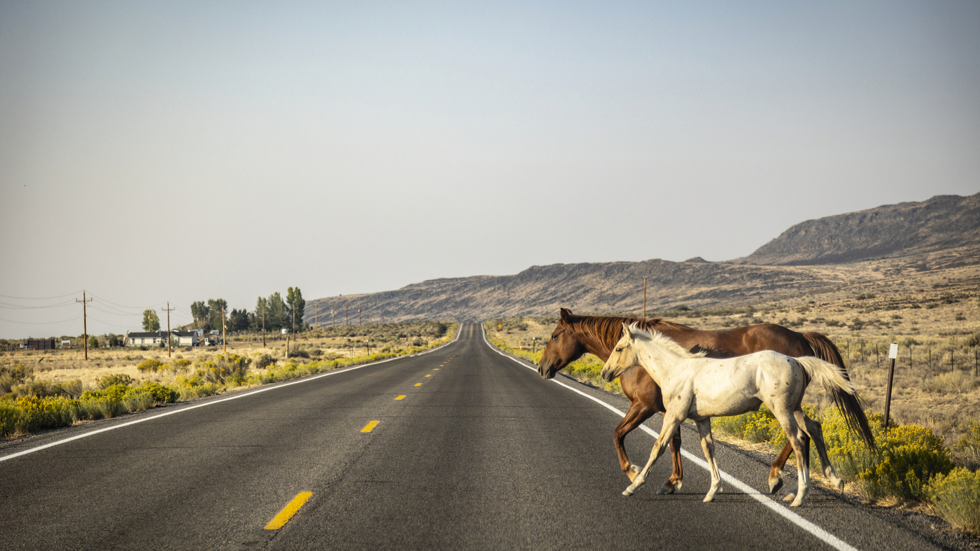 Rural broadband access remains a daily issue in remote Nevada : NPR
