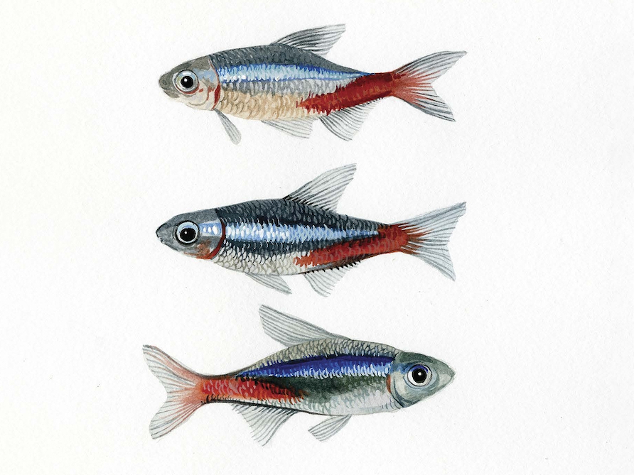 These Poems' Sensual Details Explore The Friction Between Integrity And ...