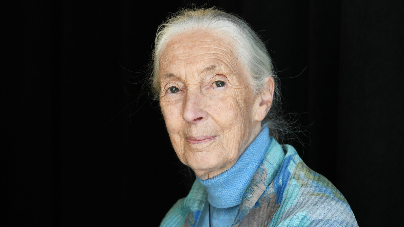 Jane Goodall, eco-grief and the 'Book of Hope' : NPR