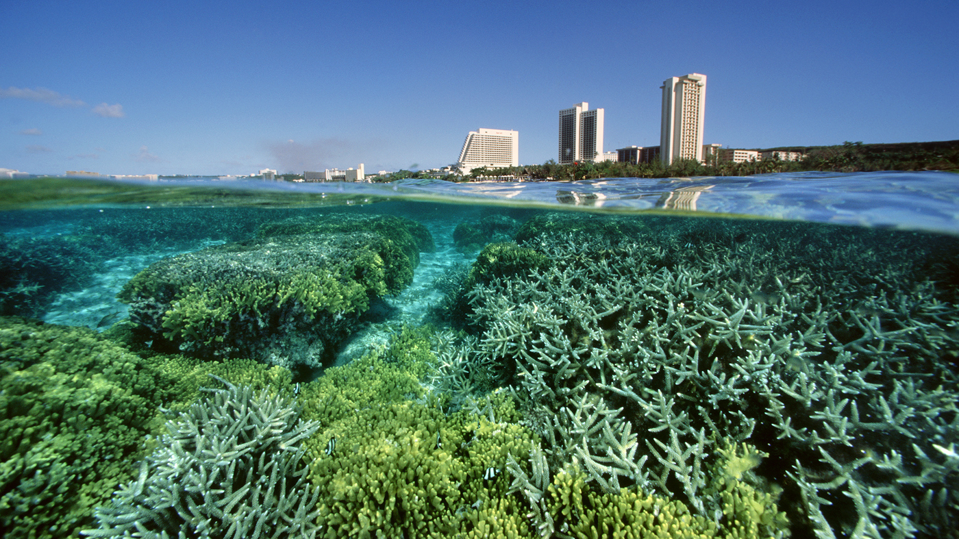 Photos of the world above and below the sea by David Doubilet : The ...