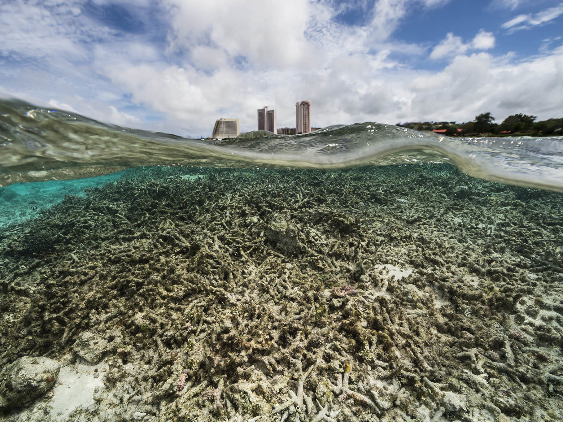A photographer marries the worlds above and below the water in a single ...