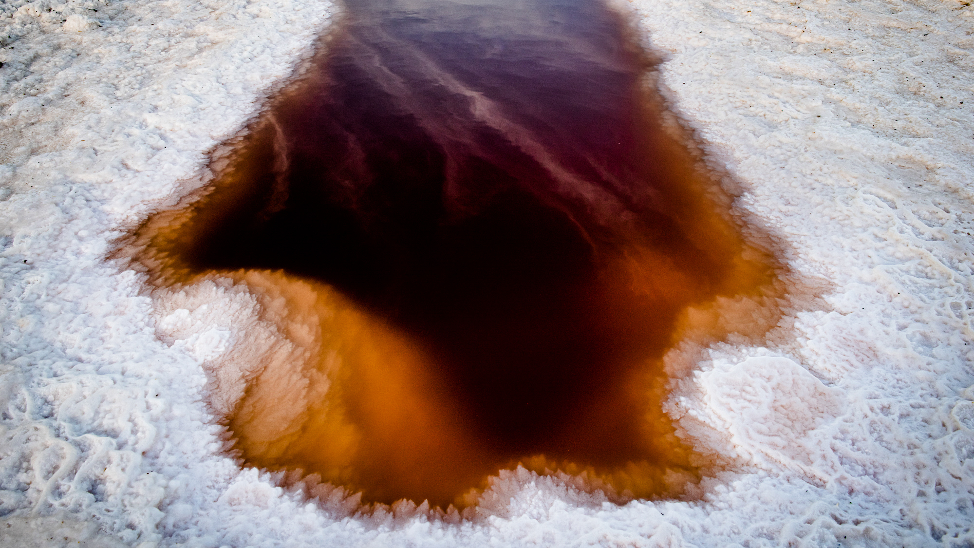 A photographer captured 10 years of salt pond transformation : The ...
