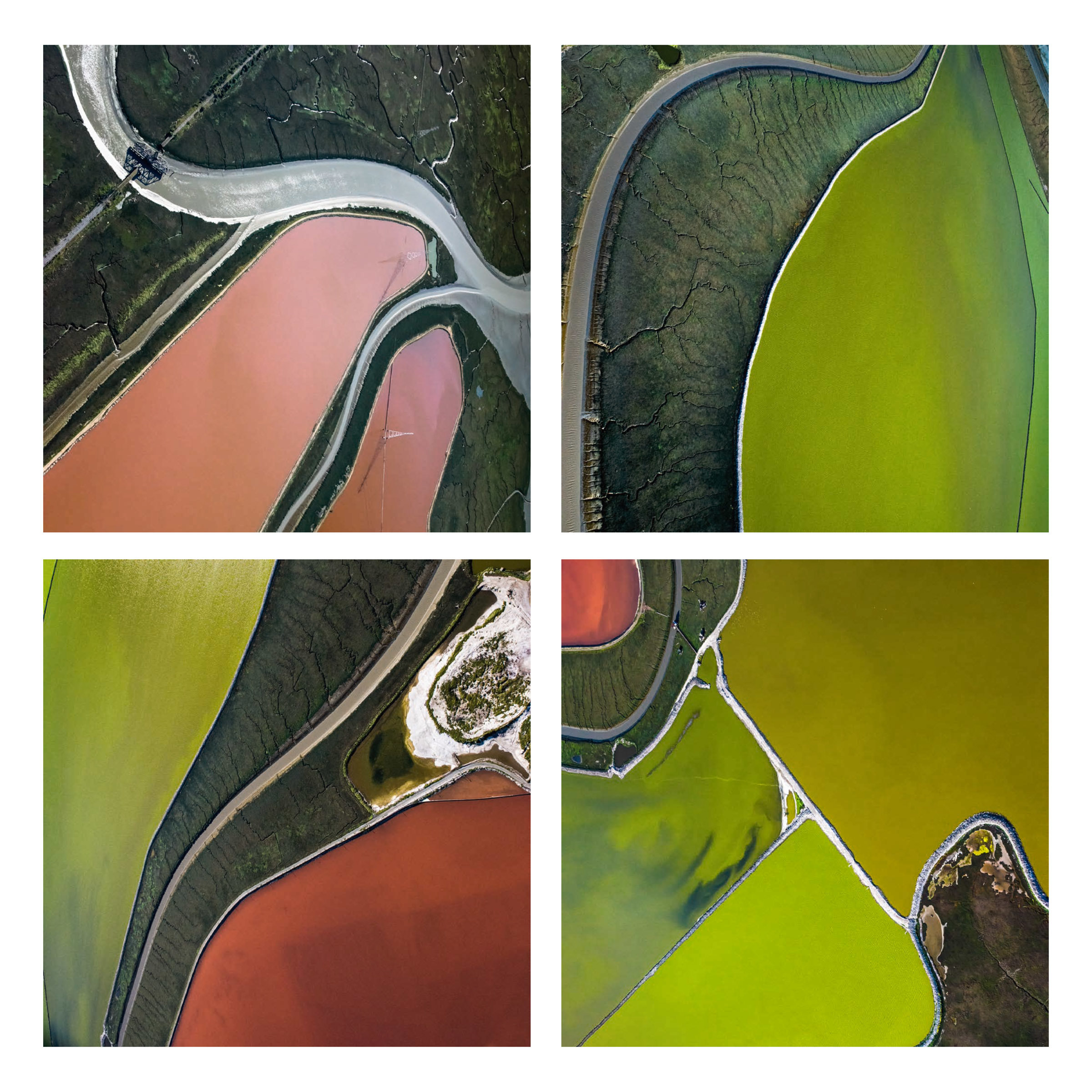 Documenting the change in California salt ponds over the years | NCPR News