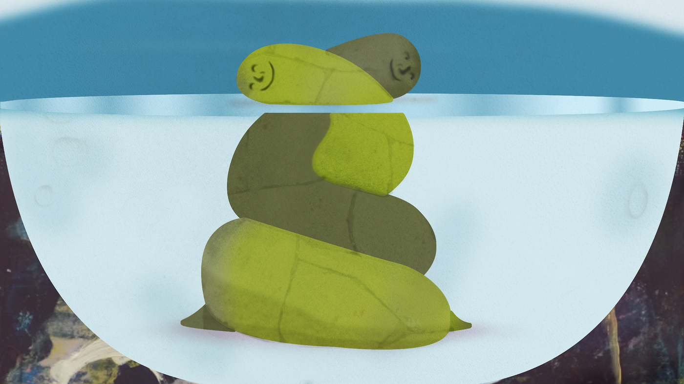 Poop Friends : Invisibilia : NPR