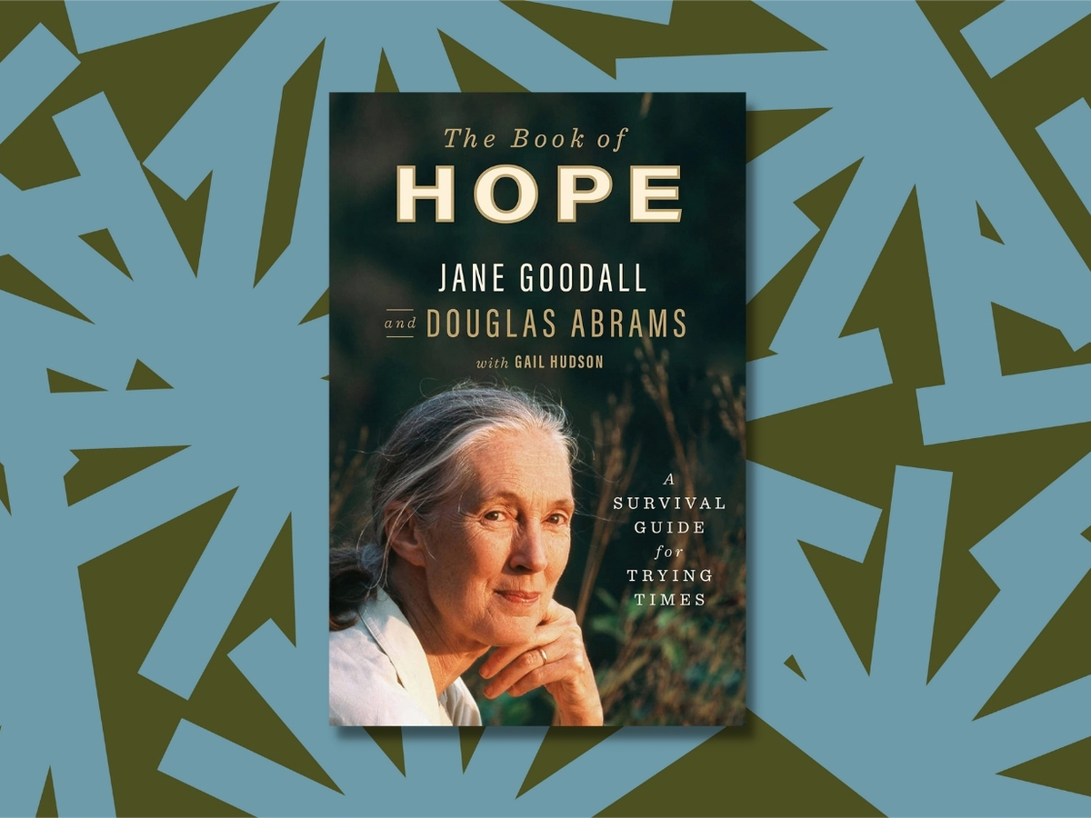 Climate anxiety shouldn't make us give up, argues 'The Book of Hope ...