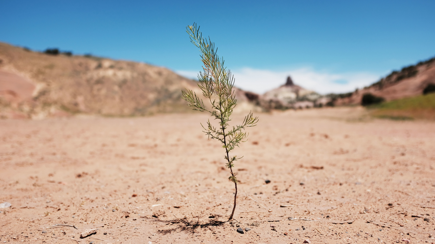 Forced relocation left Native Americans more vulnerable to climate ...