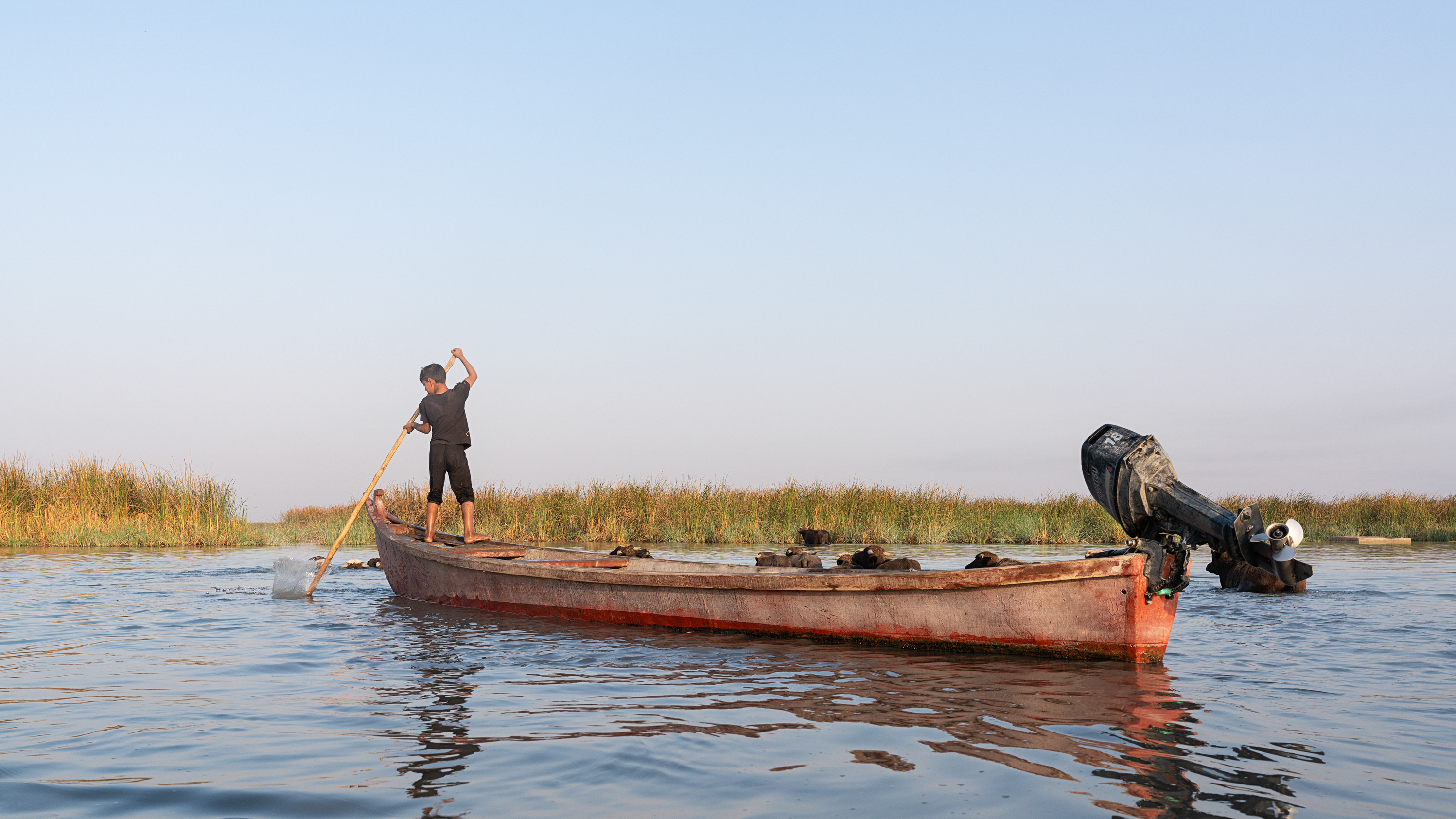 Climate change, extreme heat and drought end way of life in Iraq's ...