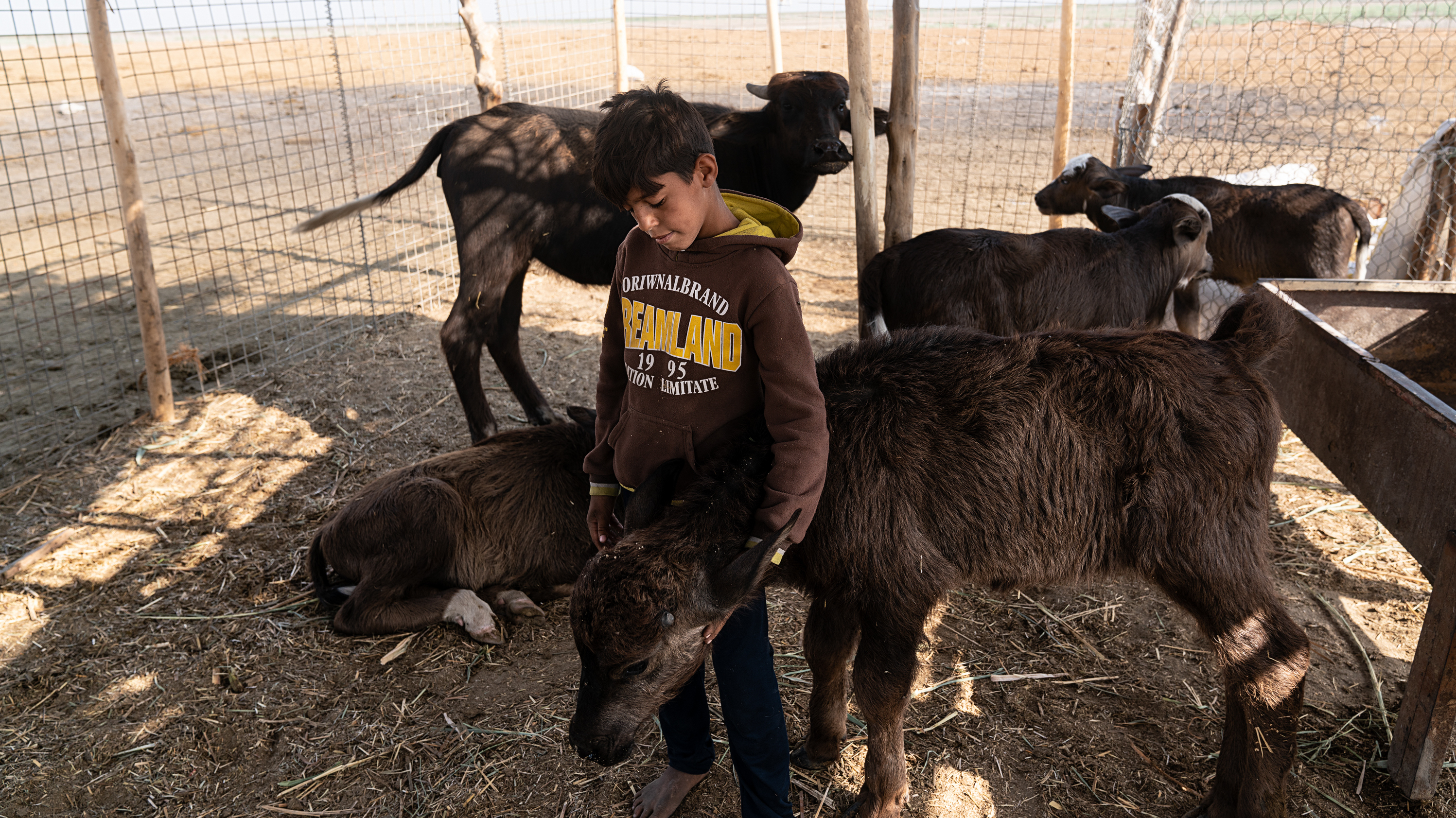 Climate change, extreme heat and drought end way of life in Iraq's ...