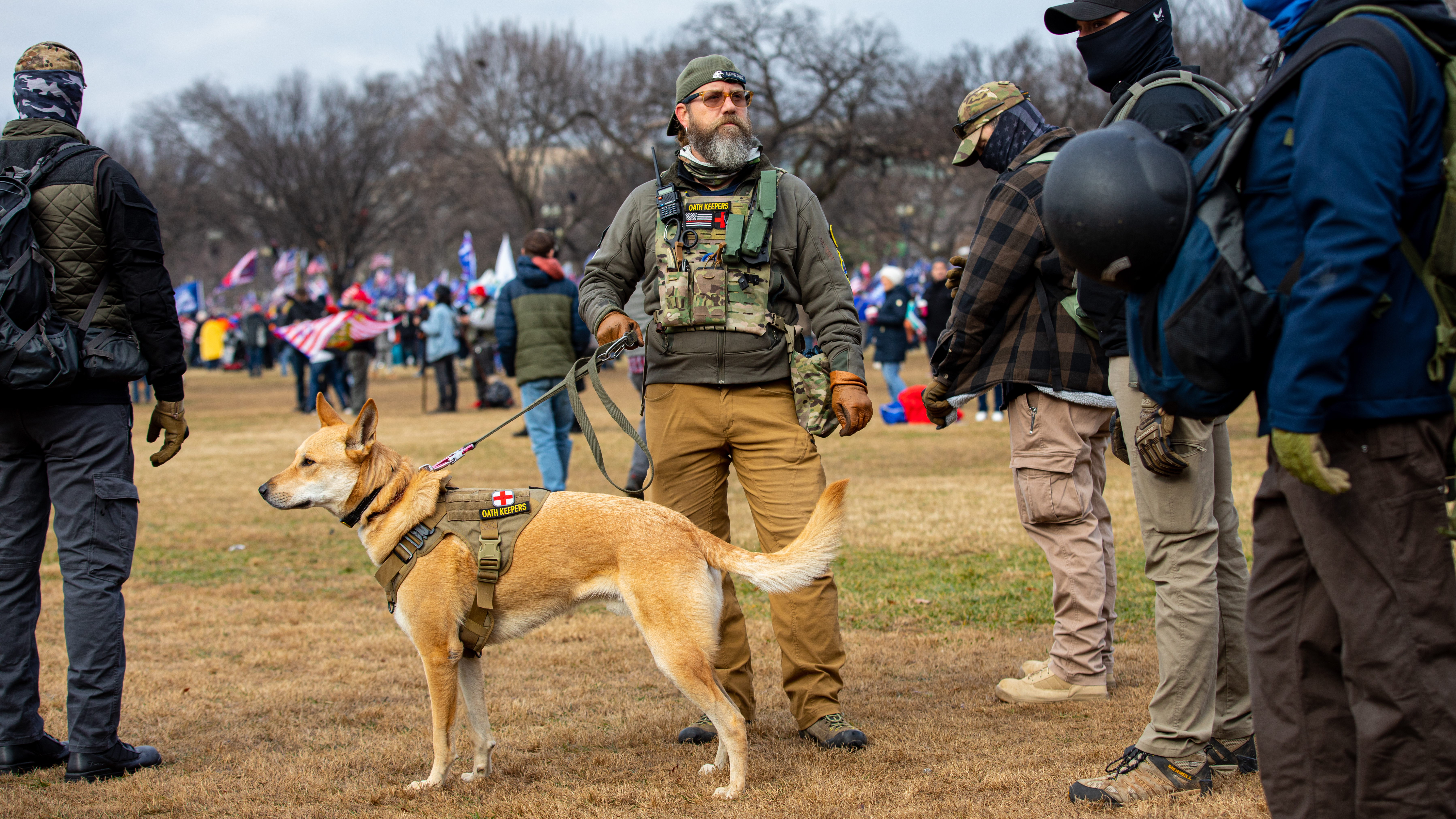 Police officers tied to extremist Oath Keepers in New York, Los Angeles ...