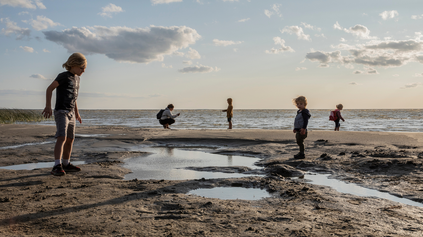 See how Minnesota fire towers help preserve a 5,000-year-old bog : The ...