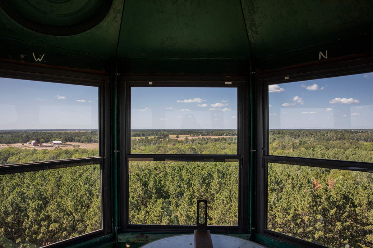 See how Minnesota fire towers help preserve a 5,000-year-old bog : The ...