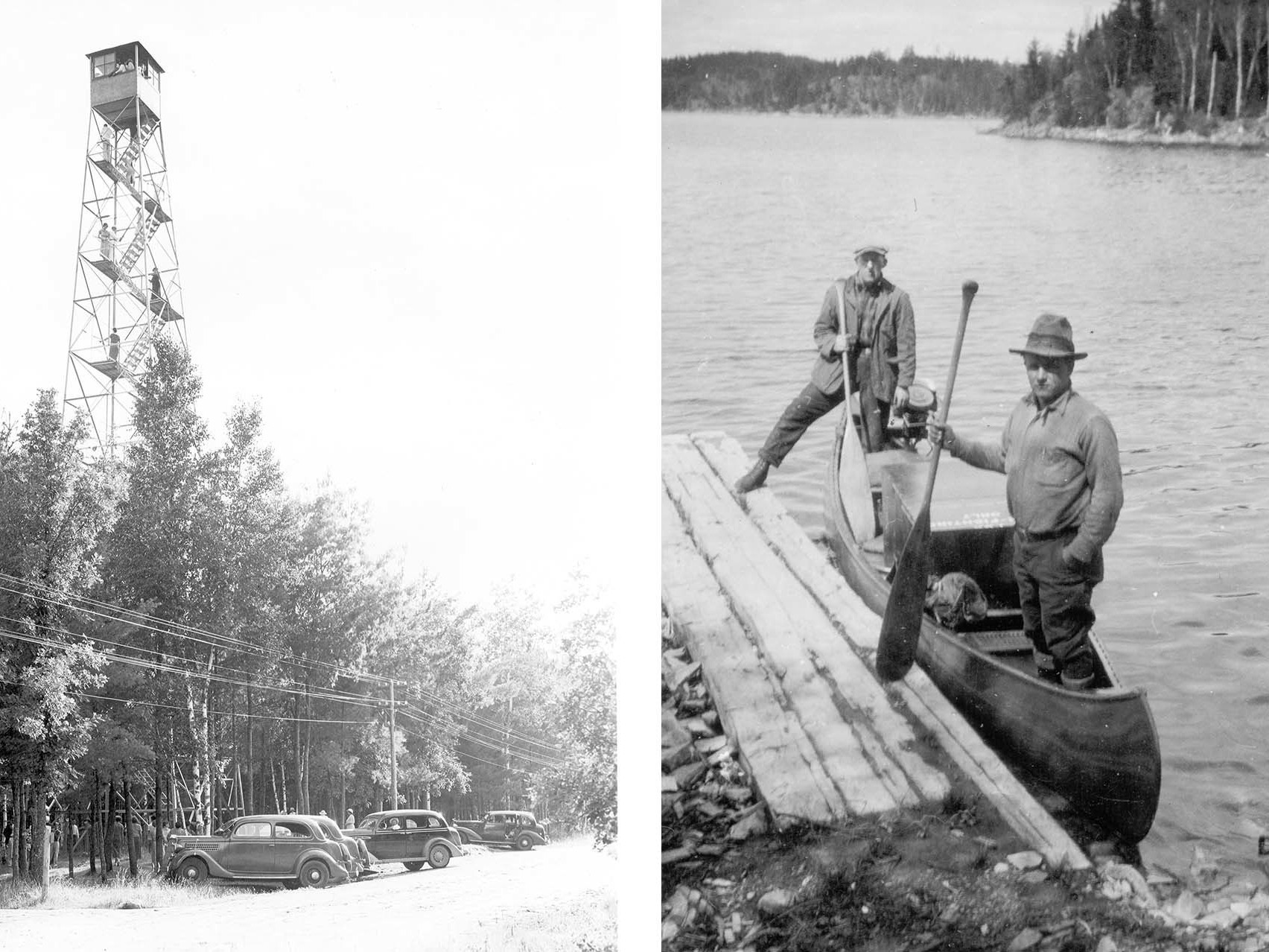 See how Minnesota fire towers help preserve a 5,000-year-old bog | NCPR ...