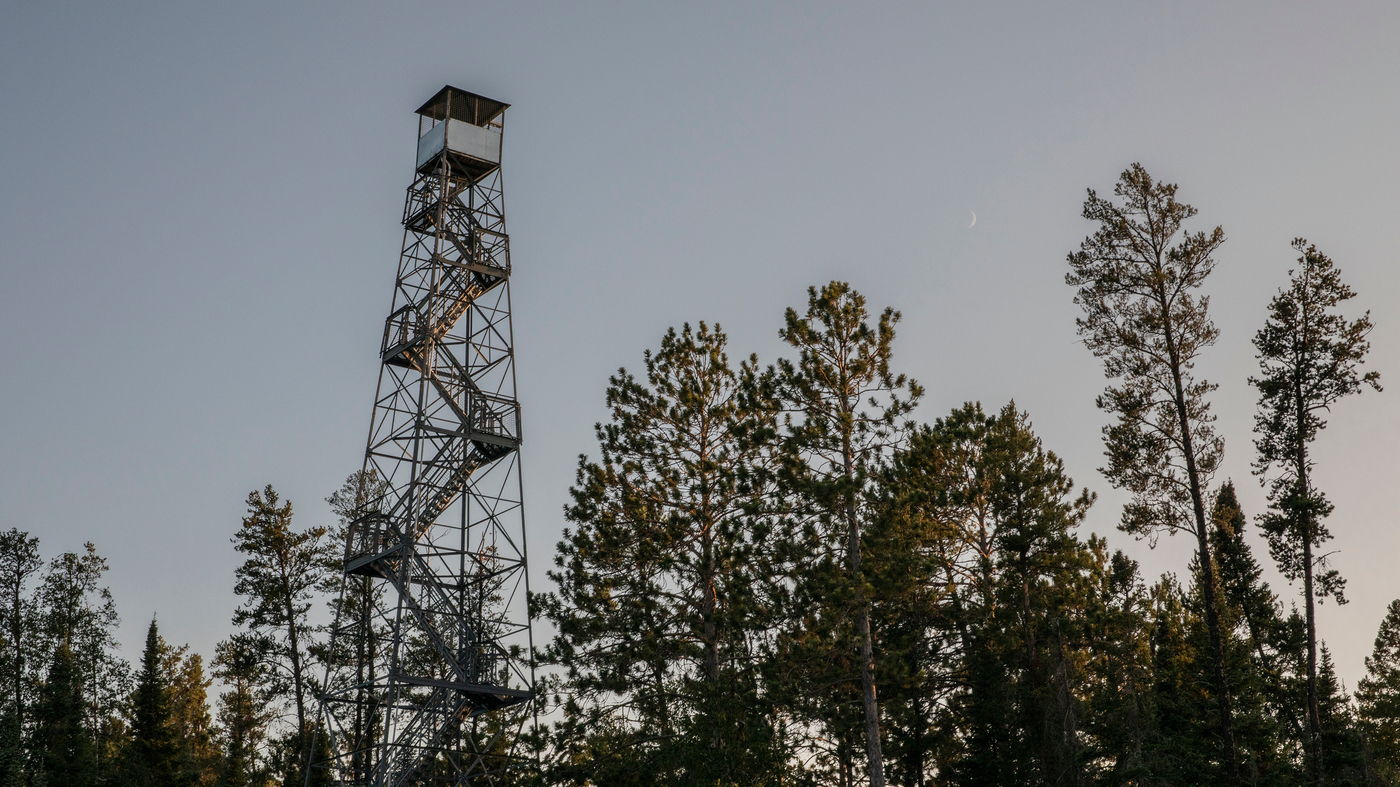 See how Minnesota fire towers help preserve a 5,000-year-old bog : The ...