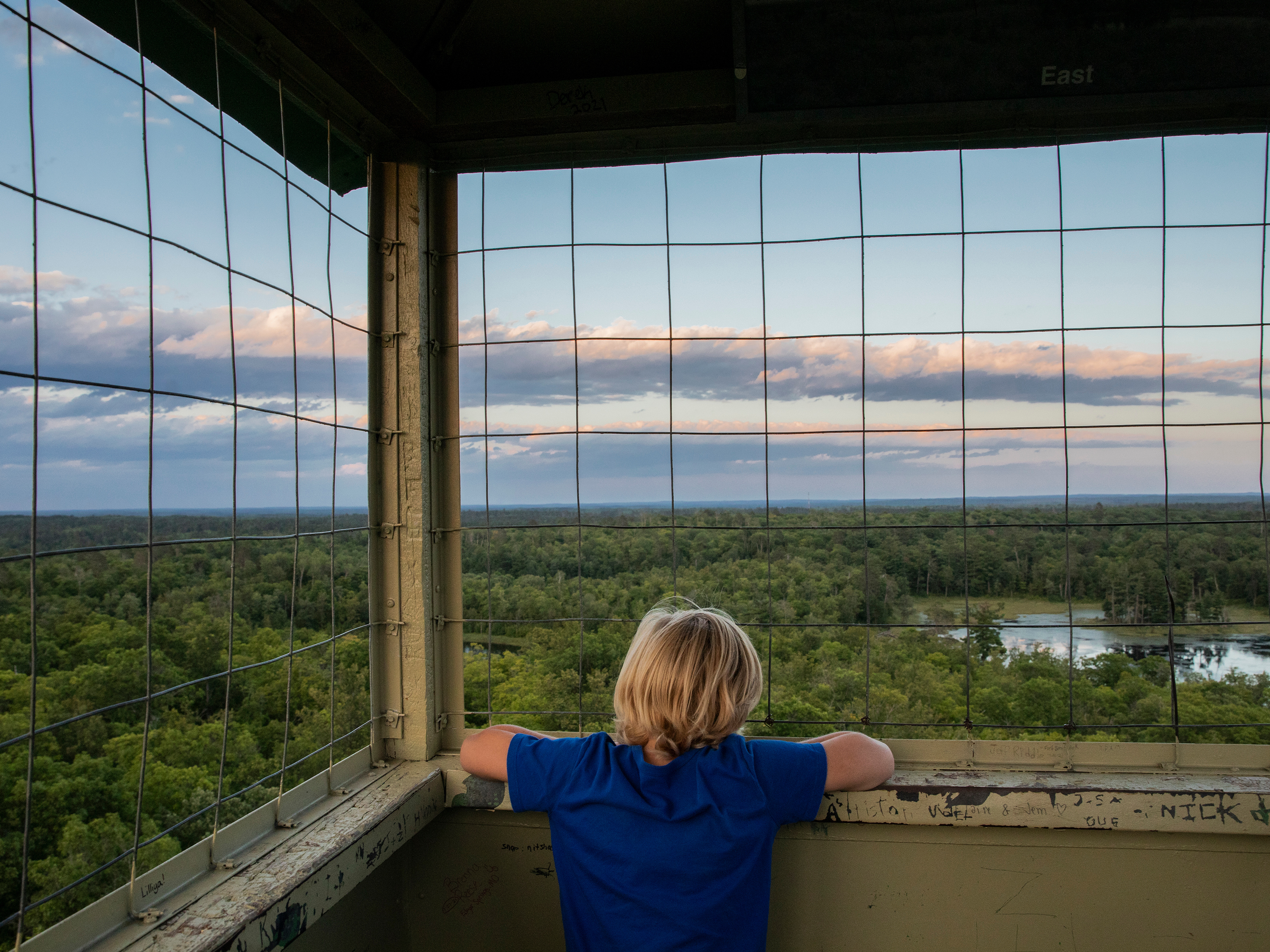 See how Minnesota fire towers help preserve a 5,000-year-old bog | NCPR ...