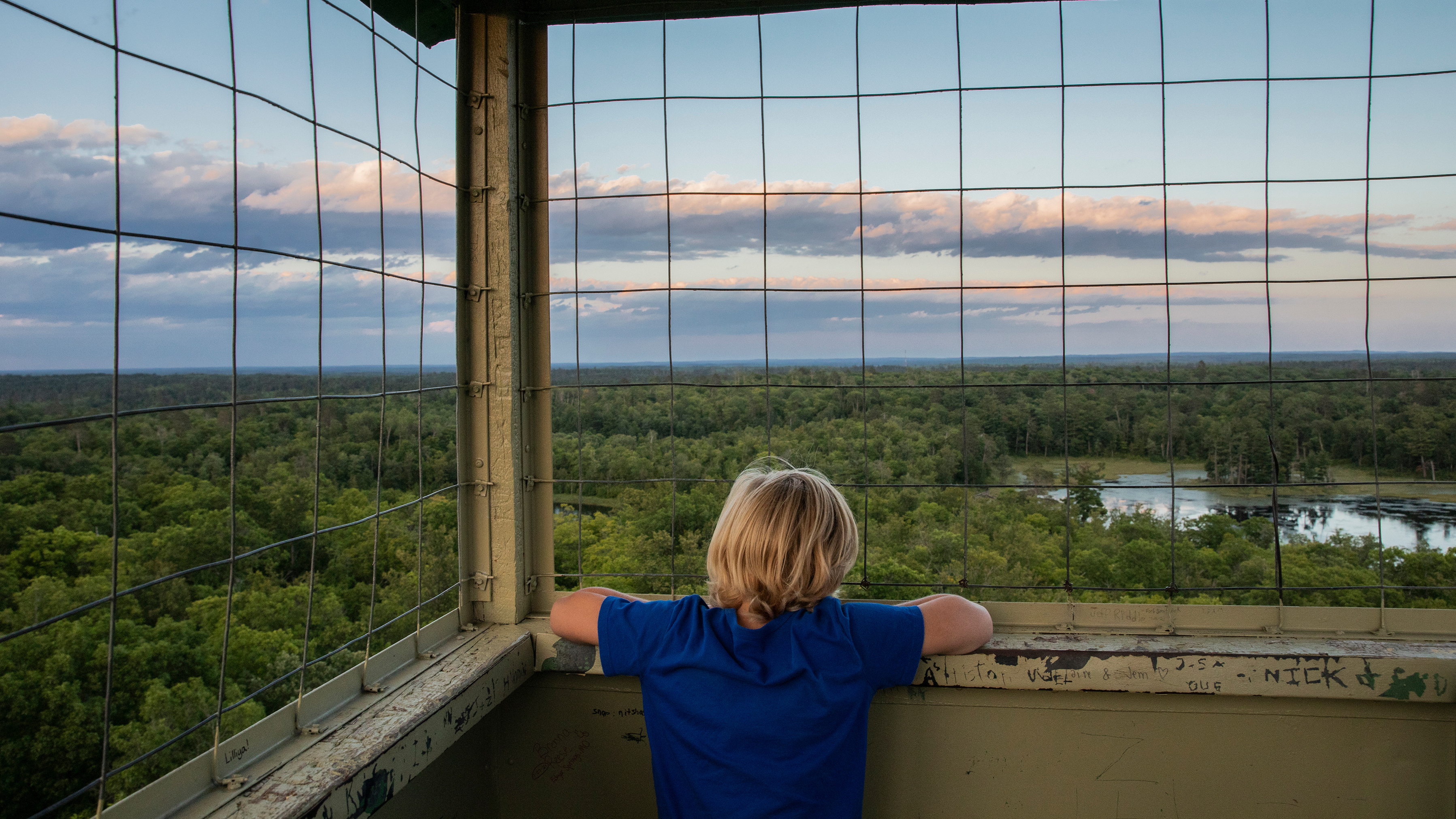 See how Minnesota fire towers help preserve a 5,000-year-old bog : The ...