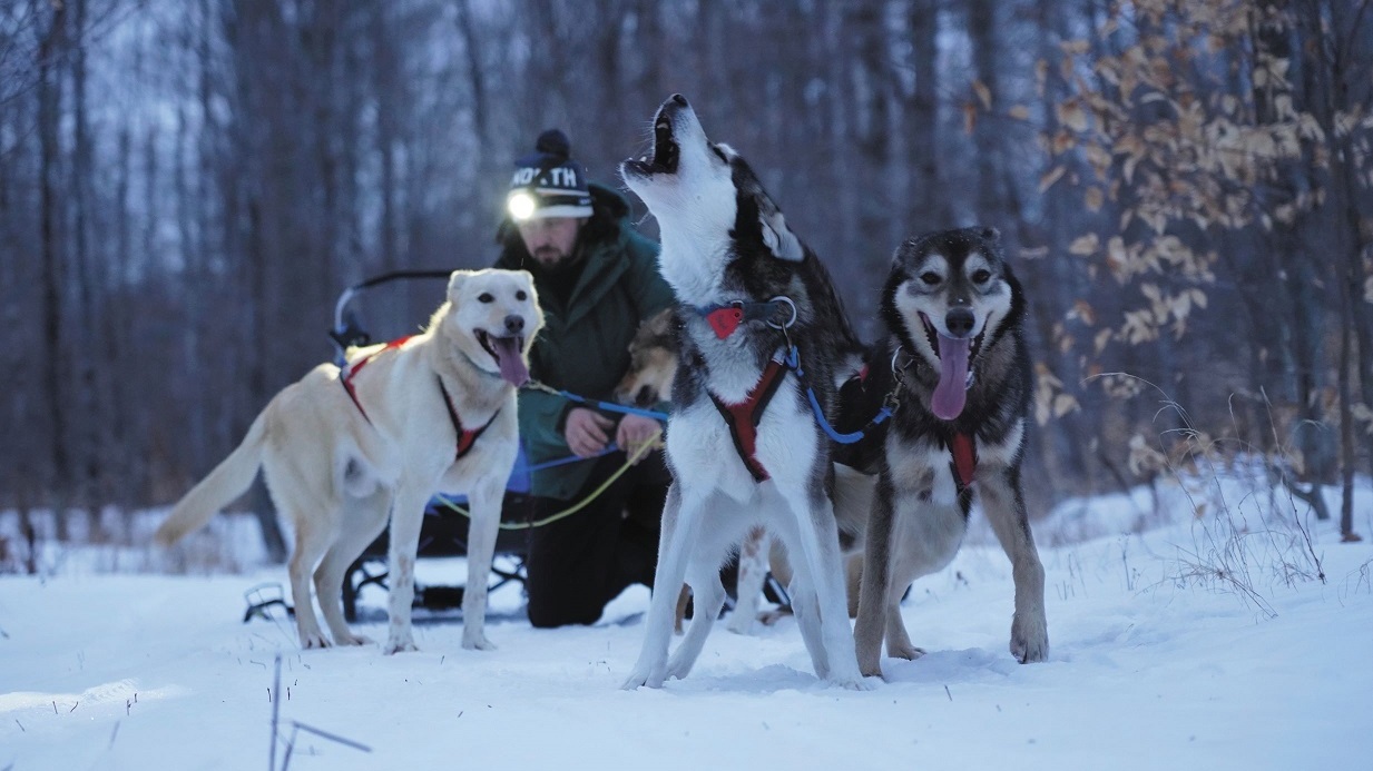 Iditarod sled dog musher Blair Braverman shares the tales from the ...