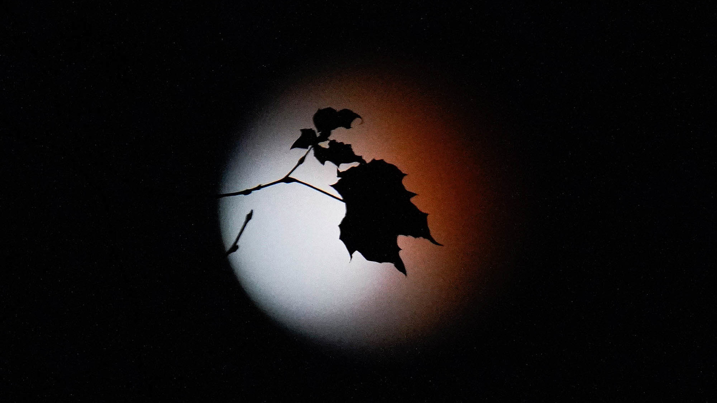 Photos from the historic lunar eclipse around the world : NPR
