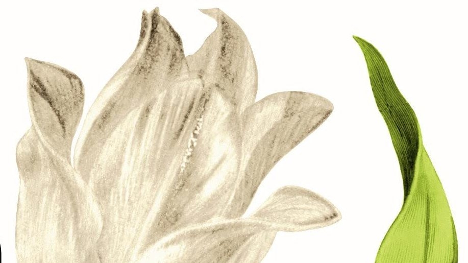 Maureen Corrigan's 2021 Best Books list : NPR