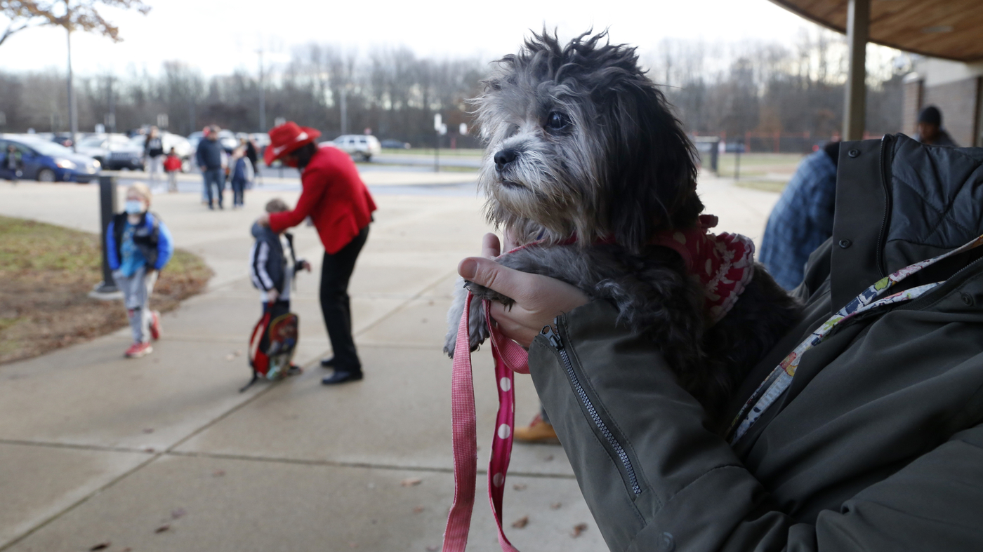 Schools use therapy-based programs for 'overwhelmed' kids : NPR
