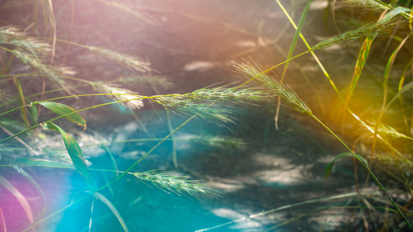 10 moments of joy from 2021 : NPR