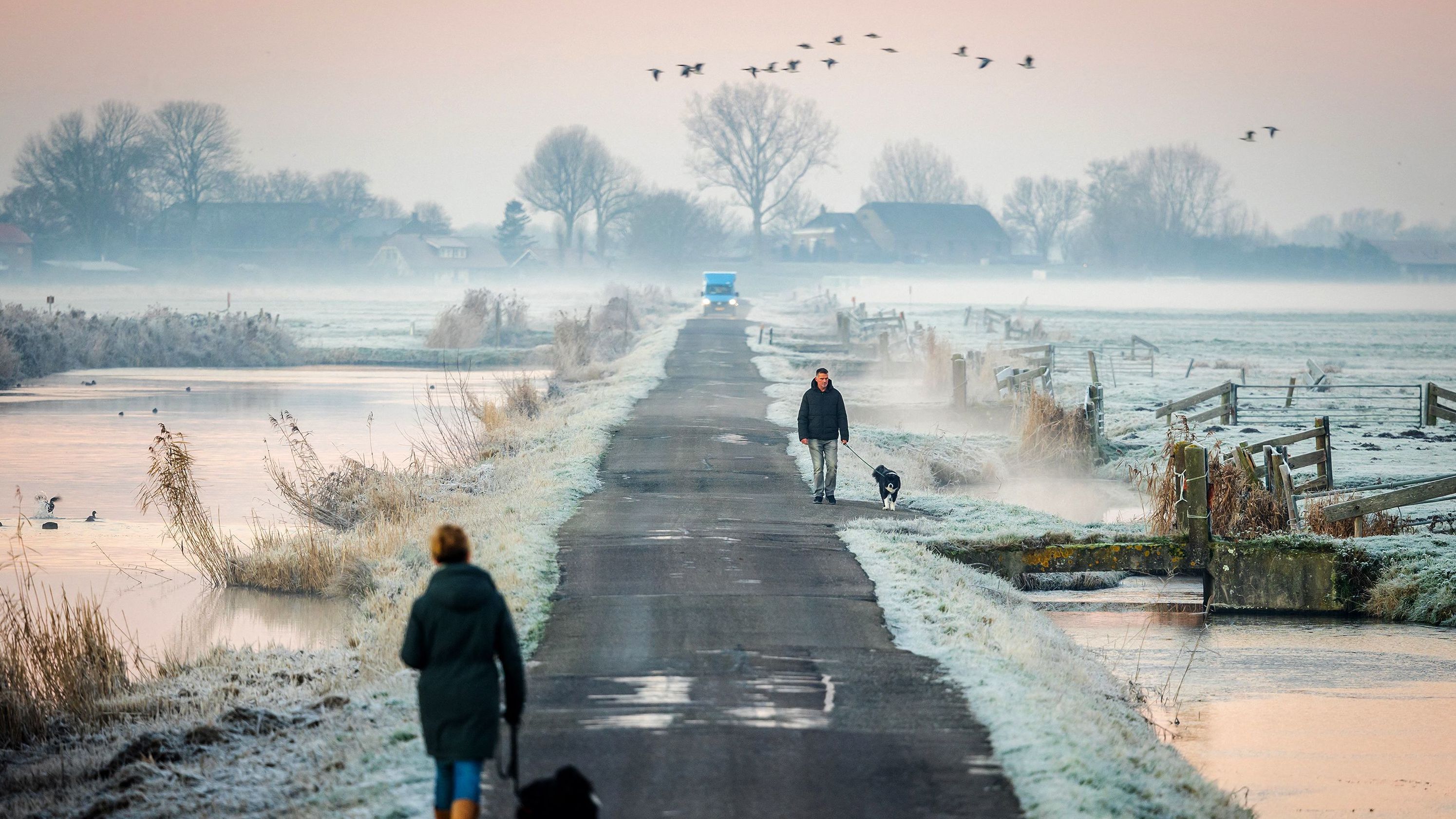 Winter solstice 2021: Some bright ideas for a dark day : NPR