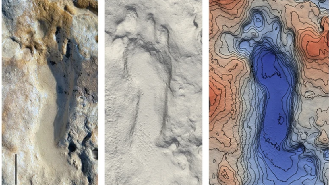 4 of the biggest archeological finds of 2021 — including a 'game ...