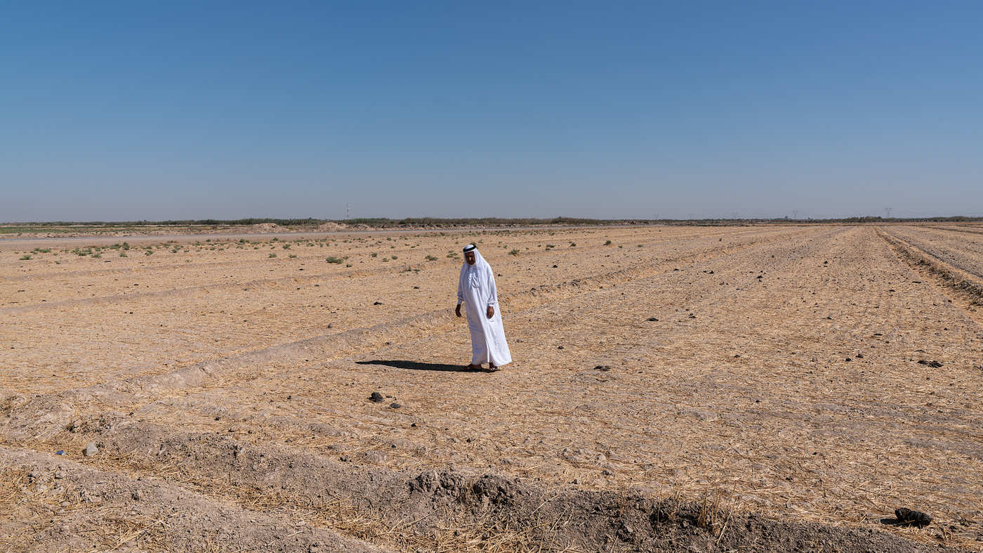 NPR correspondents' top recommended stories from around the world in ...