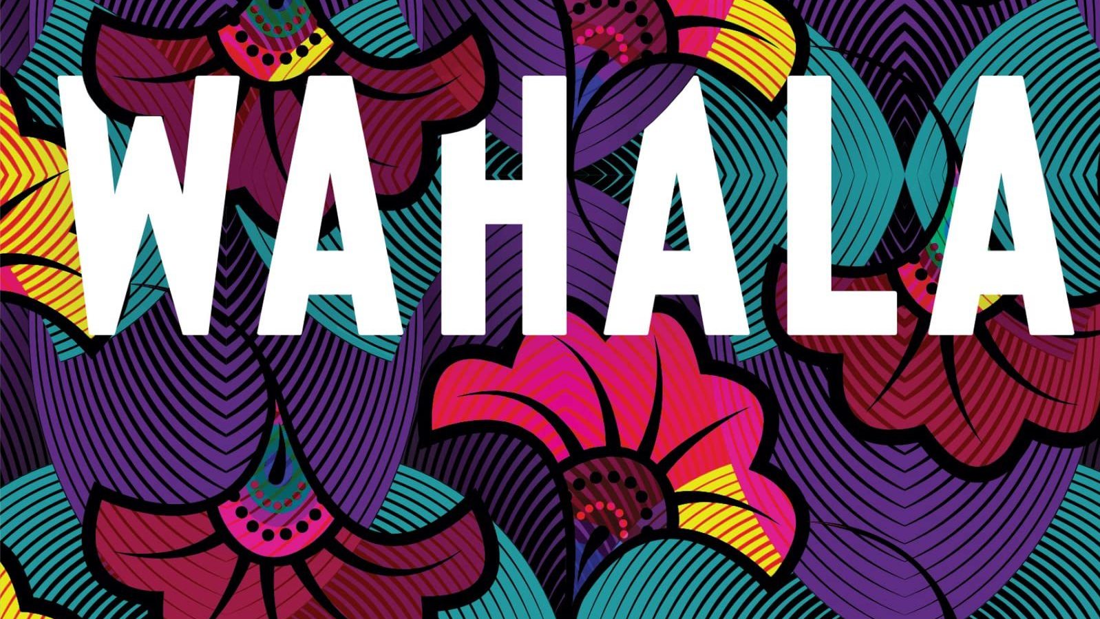 Book review: Nikki May's 'Wahala' focuses on issues central to modern ...