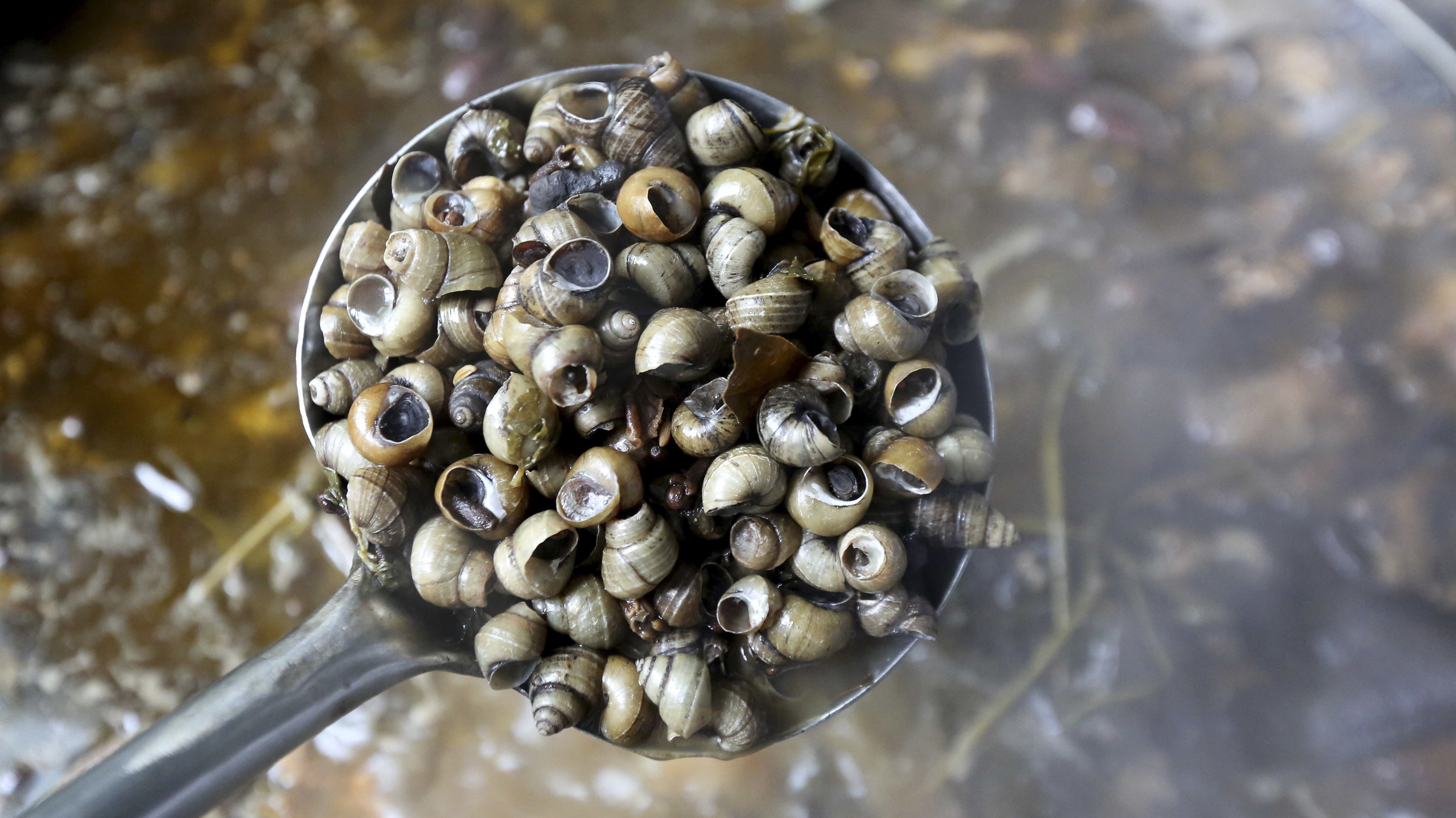 How slippery snail noodles became a viral sensation in China : Goats ...