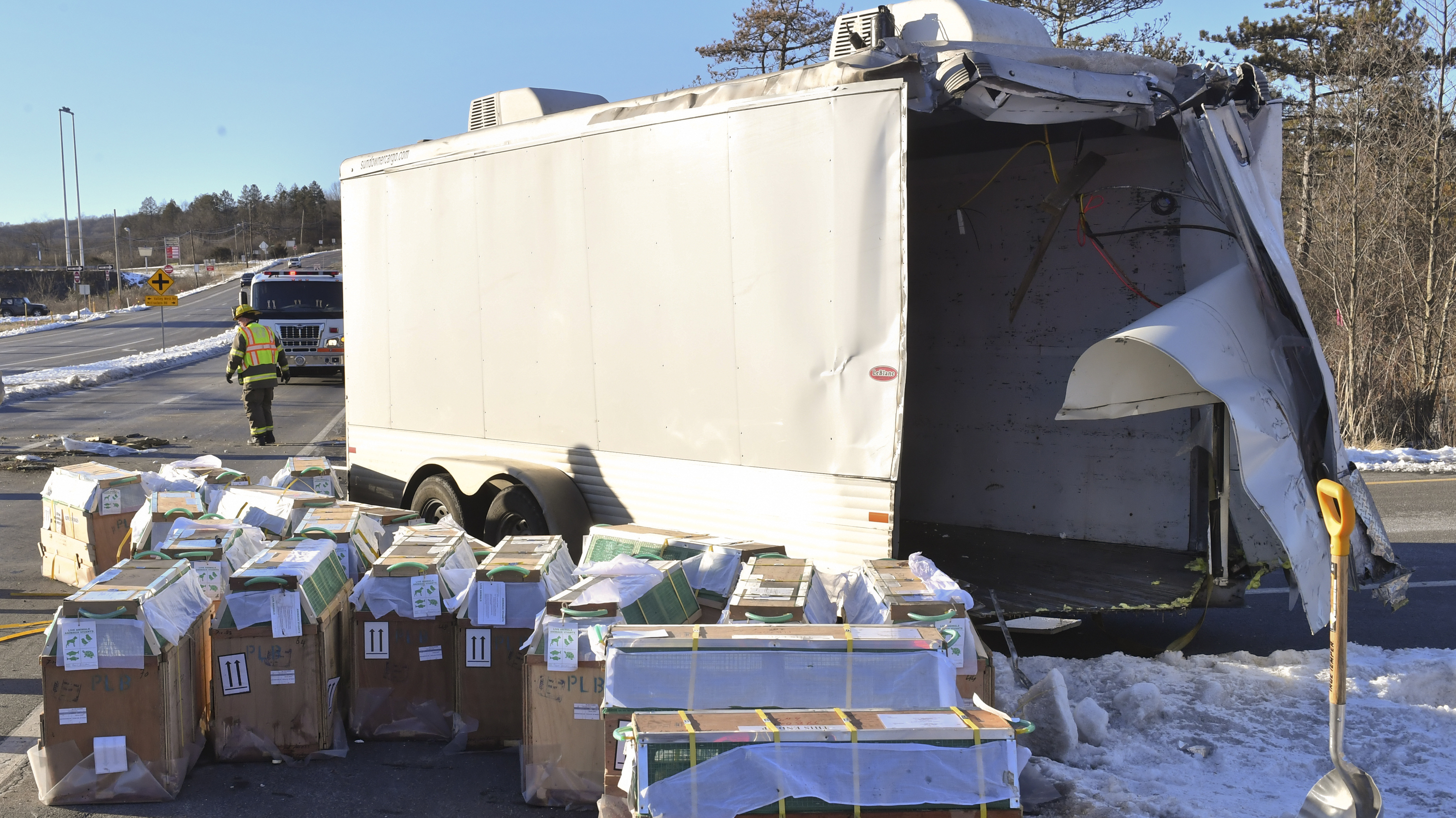 All 100 lab monkeys have been accounted for after several escape a ...