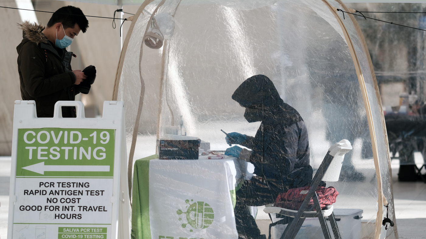 Future of COVID-19 Pandemic : Short Wave : NPR