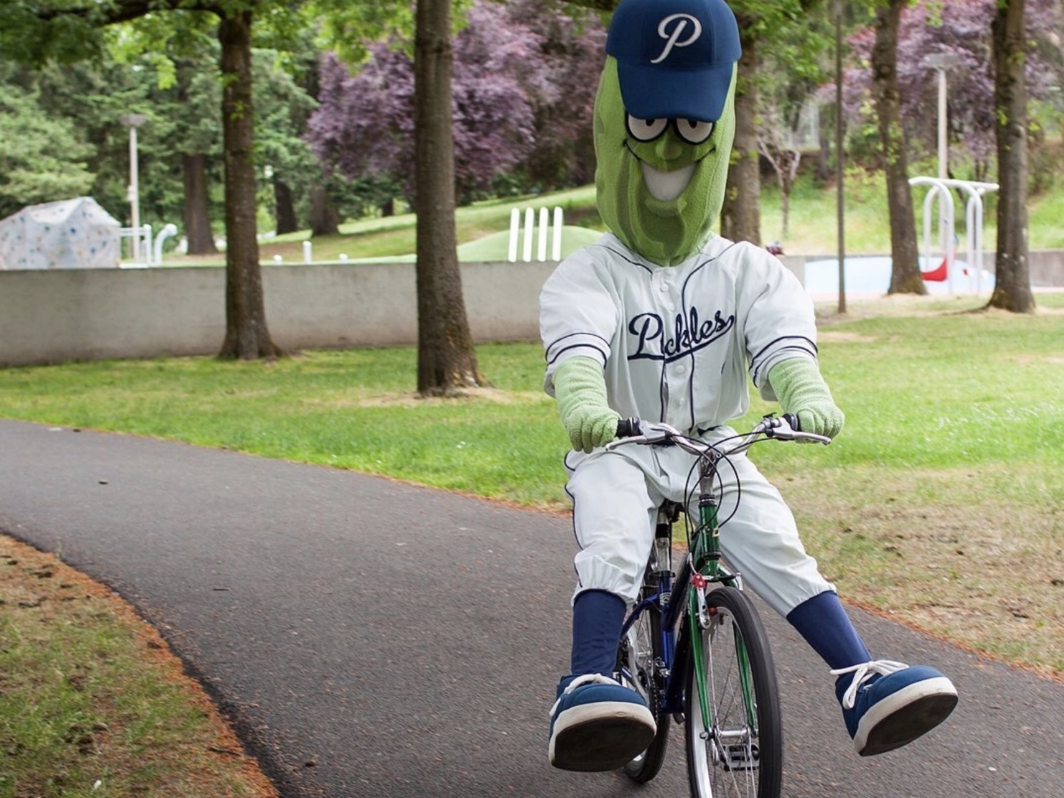The Portland Pickles need your help finding their stolen mascot, Dillon ...