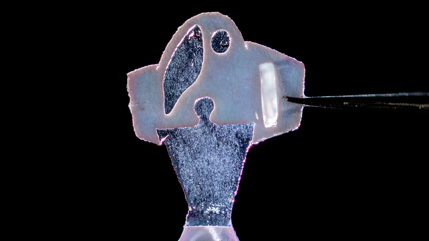 Scientists build synthetic fish that swim using lab-grown human heart ...