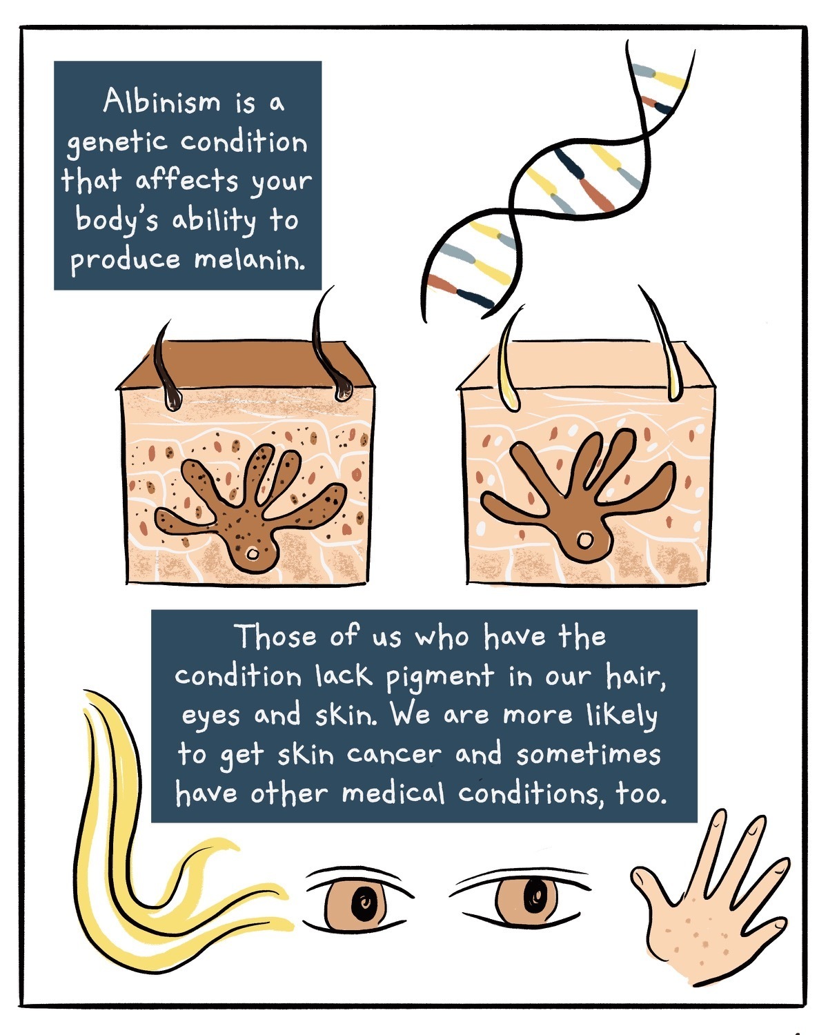 A whiteness that's only skin deep | NCPR News