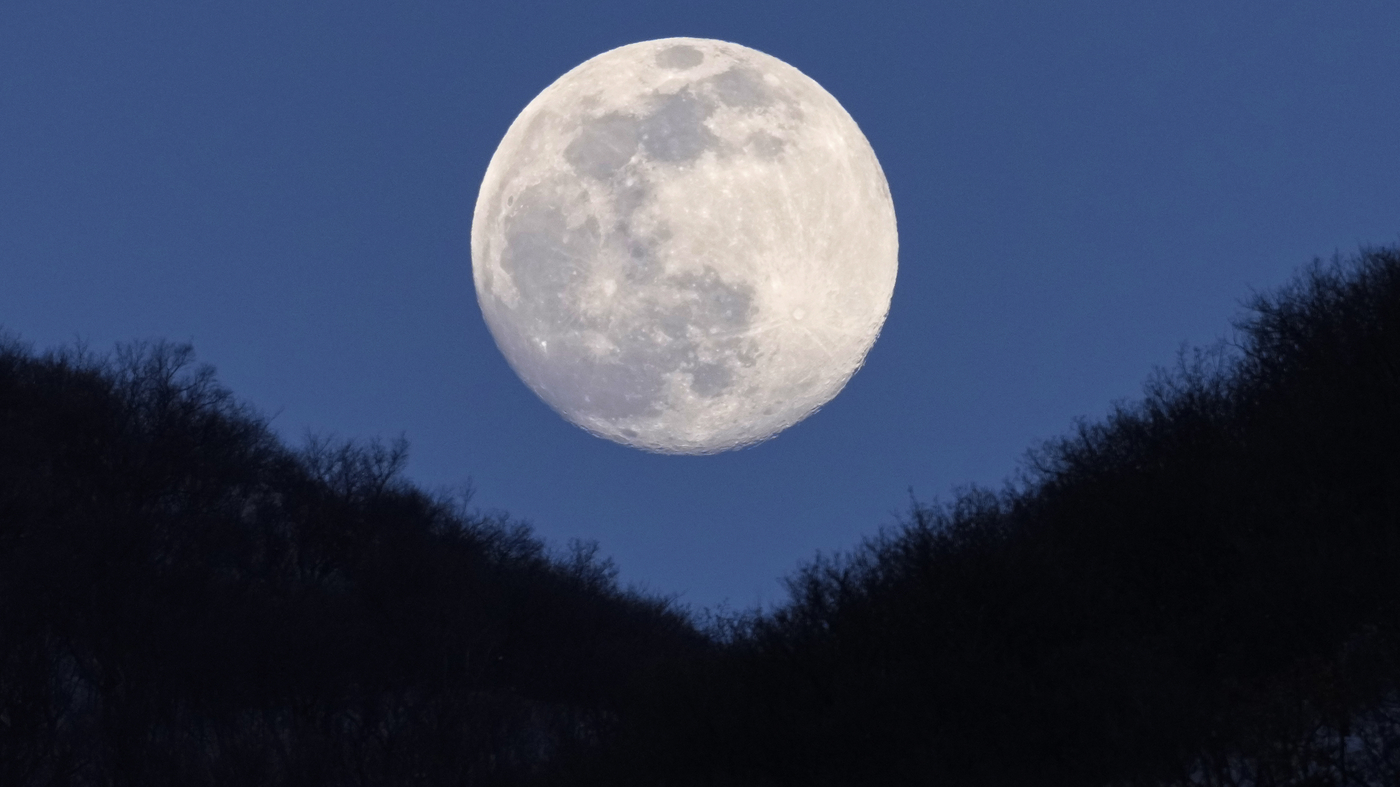 Evidence Of Life On The Moon