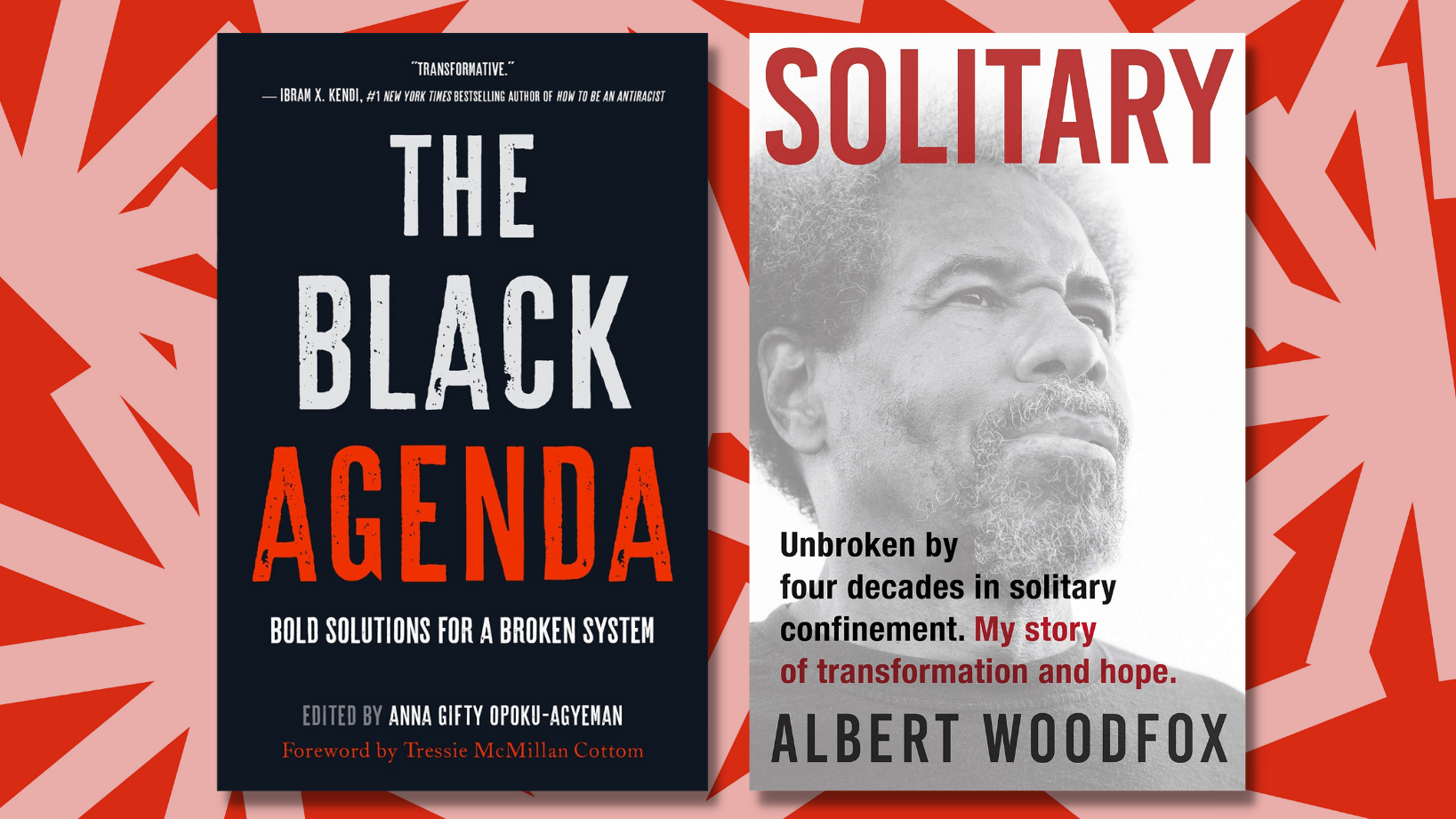 'The Black Agenda' and 'Solitary' contemplate some difficult issues ...