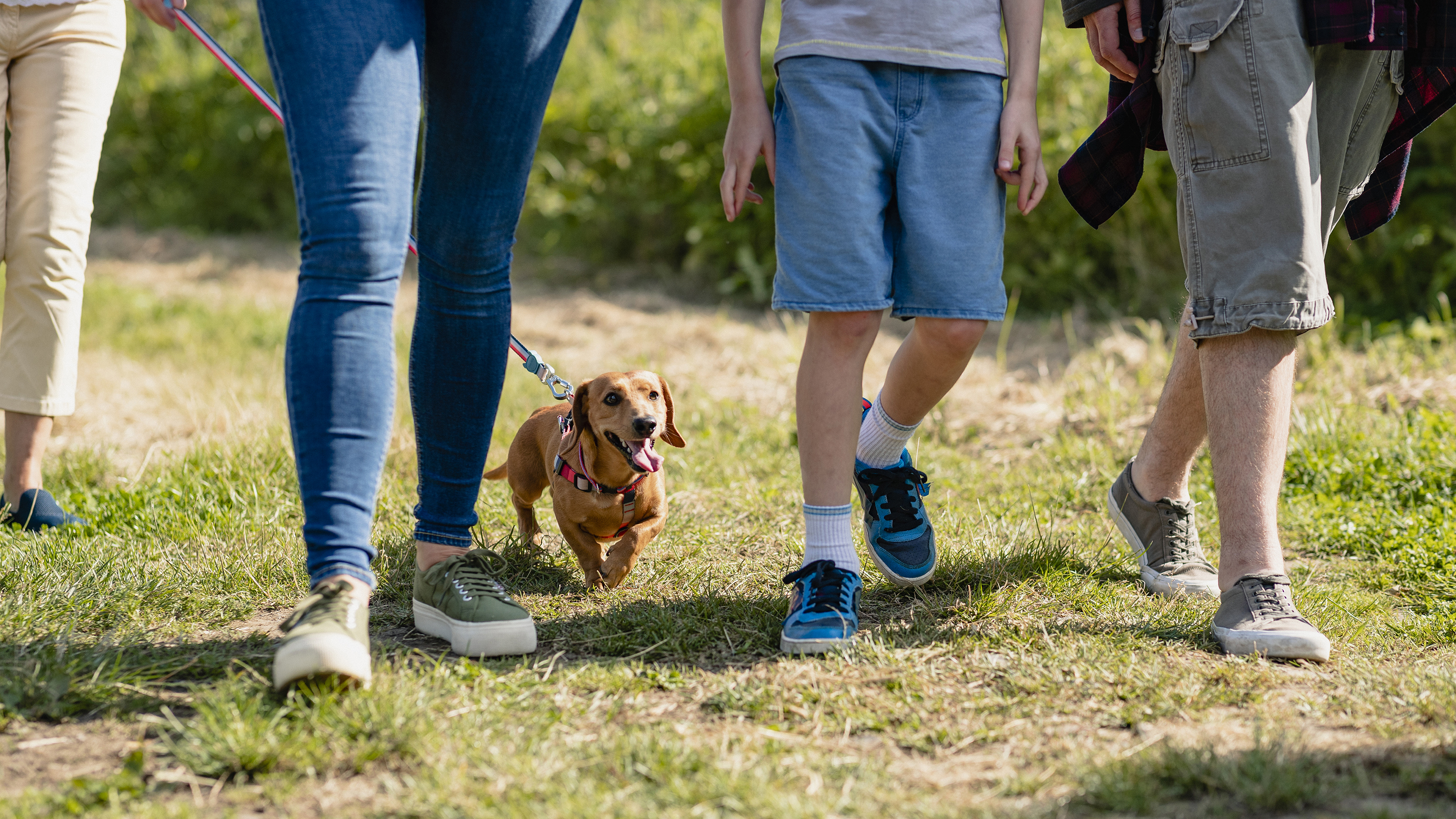Daily Habits During The Pandemic : Short Wave : NPR