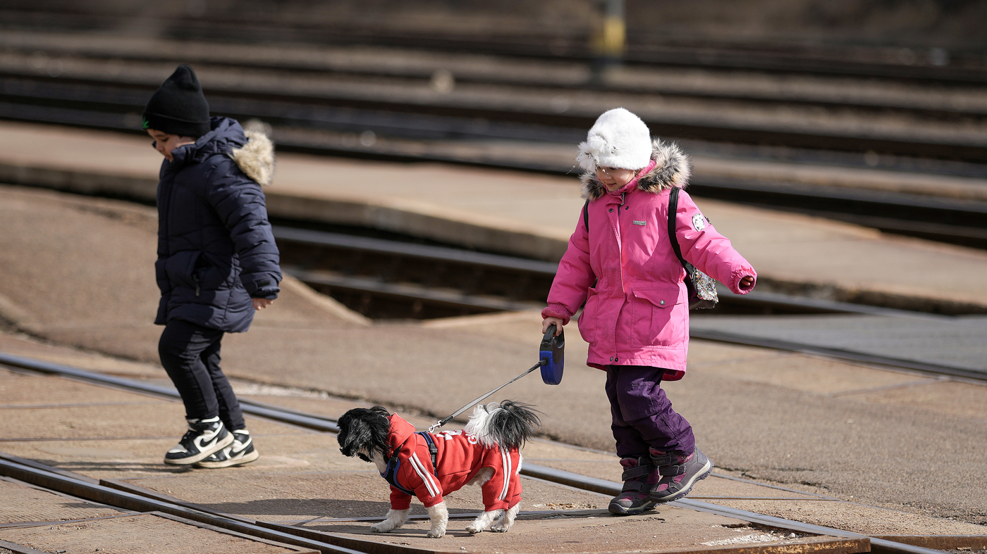 Pets have provided Ukrainian owners with crucial emotional and physical ...