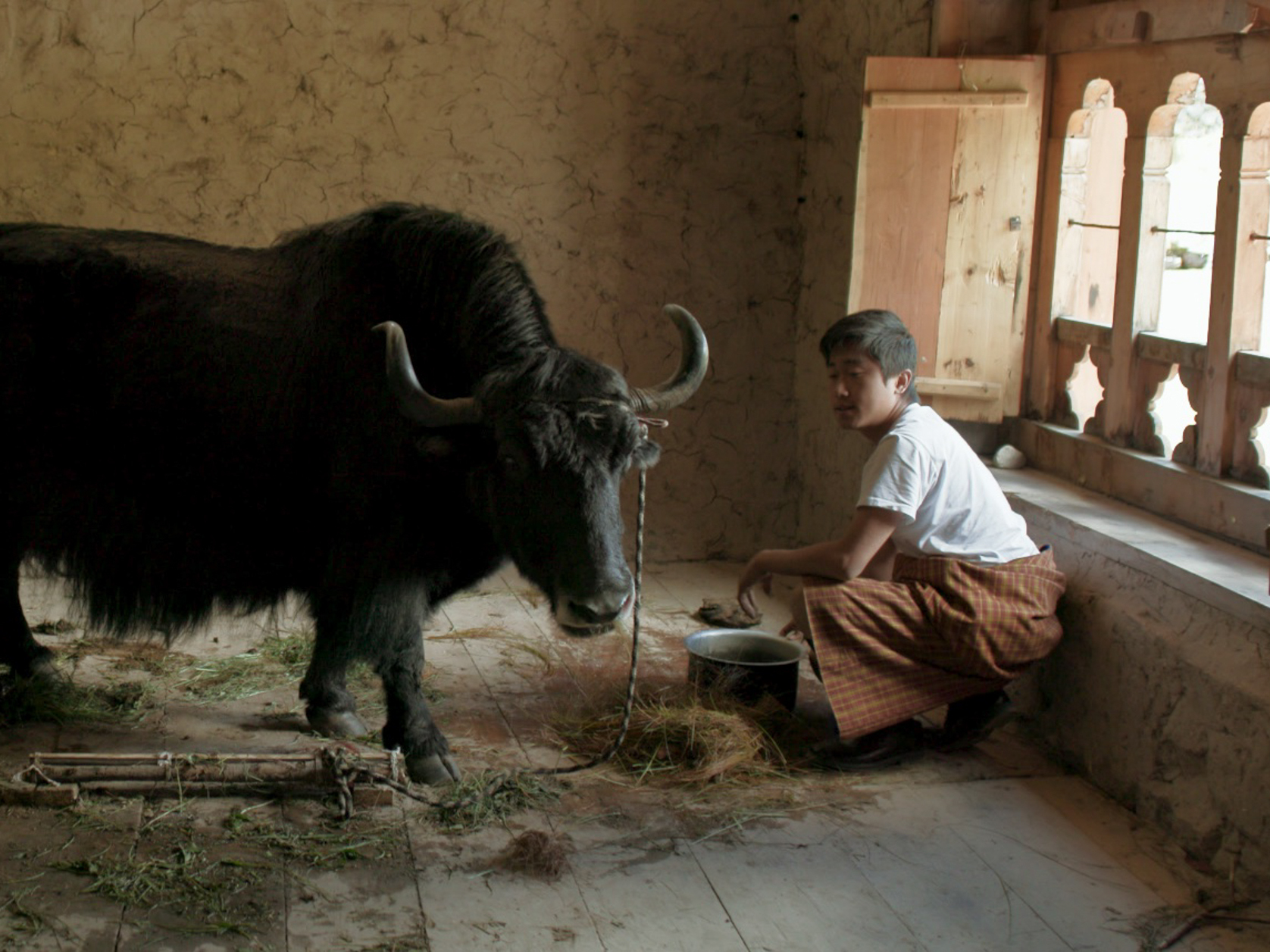 The inspirational story of Bhutan's first Oscar nod: 'Lunana: A Yak in ...