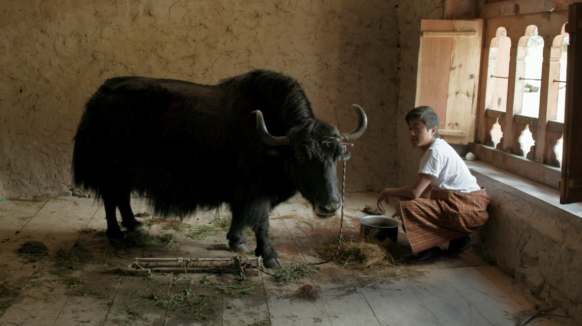 The story behind Bhutan's first Oscar nominee: 'Lunana: A Yak in the ...